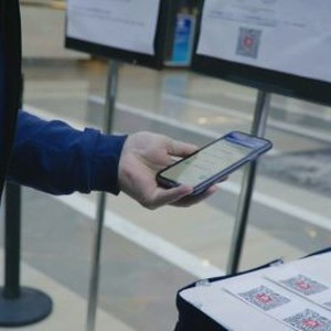 Maizidian - Rotten Tomatoes