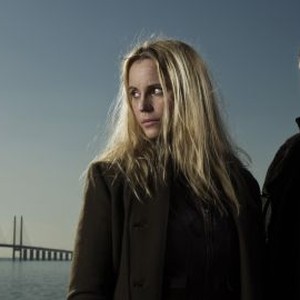 The Bridge - Rotten Tomatoes