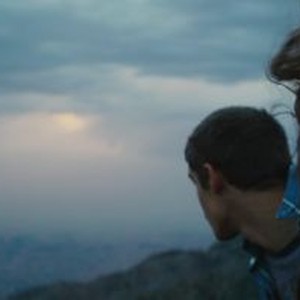 The Signal - Rotten Tomatoes