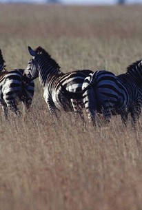 Growing Up ...: Season 1, Episode 9 | Rotten Tomatoes