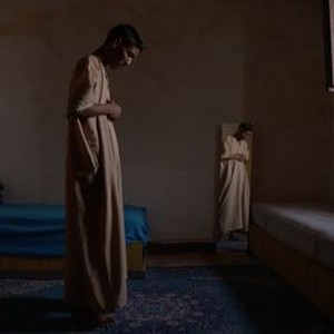 Hamada - Rotten Tomatoes