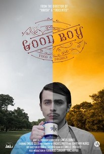 Good Boy | Rotten Tomatoes