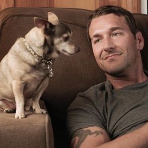 Lucky Dog - Rotten Tomatoes