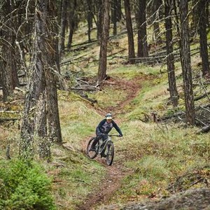 The Engine Inside - Rotten Tomatoes