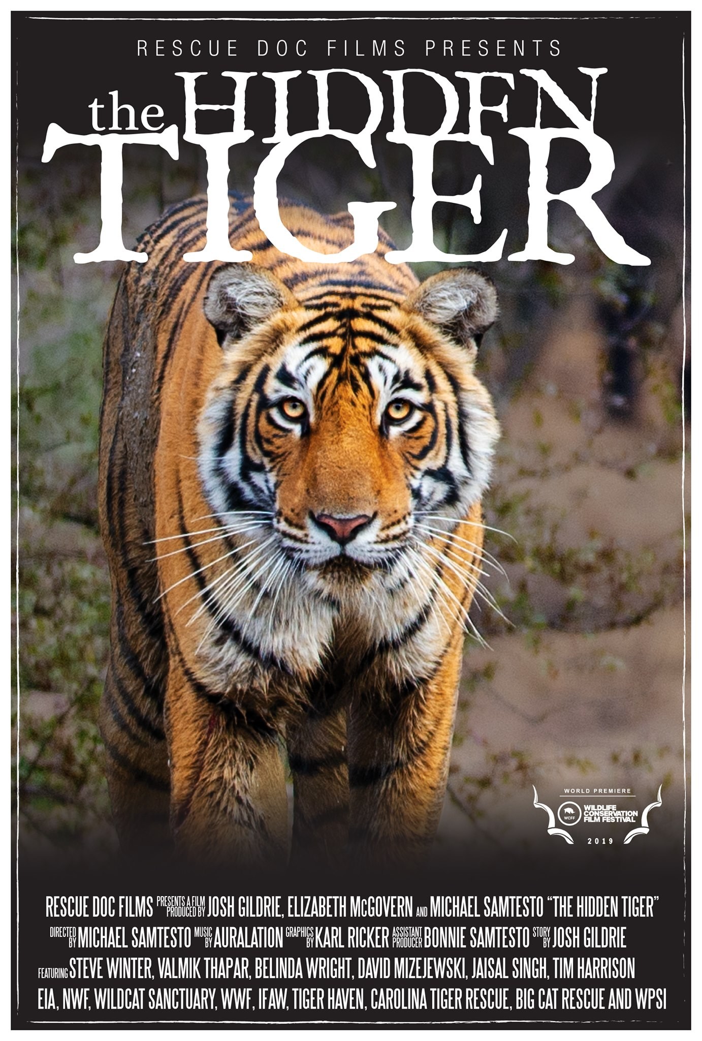 The Hidden Tiger | Rotten Tomatoes