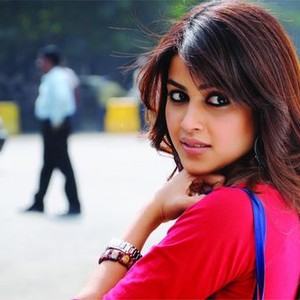 Force - Rotten Tomatoes