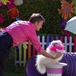 Mutt & Stuff: Season 1, Episode 6 - Rotten Tomatoes