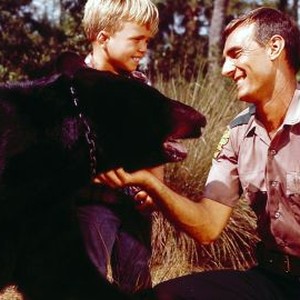 Gentle Ben - Rotten Tomatoes