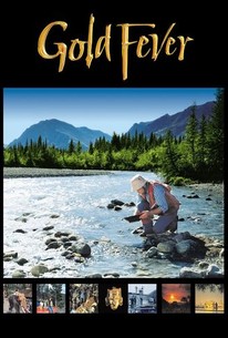 Gold Fever | Rotten Tomatoes