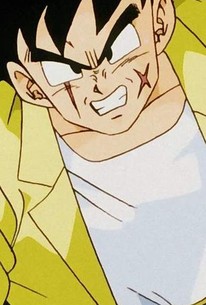 Dragon Ball Z: Season 8, Episode 238 | Rotten Tomatoes