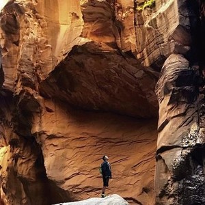 Find Me - Rotten Tomatoes