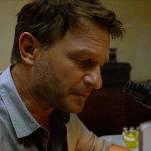 Discarnate - Rotten Tomatoes