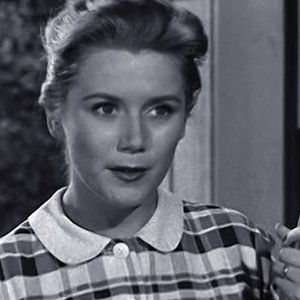 The Real McCoys: Season 2, Episode 3 - Rotten Tomatoes