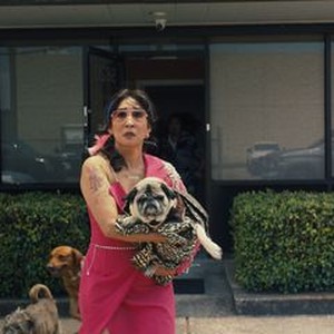 Quiz Lady - Rotten Tomatoes