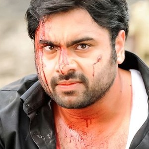 Rowdy Fellow - Rotten Tomatoes