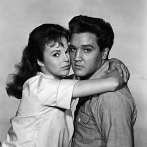 Anne Helm - Rotten Tomatoes