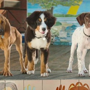 Super PupZ: Season 1, Episode 1 - Rotten Tomatoes