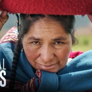 Magical Andes - Rotten Tomatoes