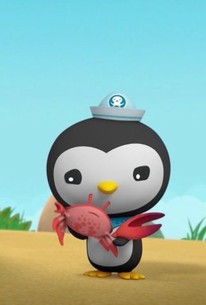 Octonauts: Season 2, Episode 8 | Rotten Tomatoes