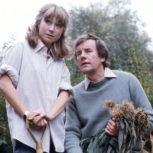 The Good Life - Rotten Tomatoes