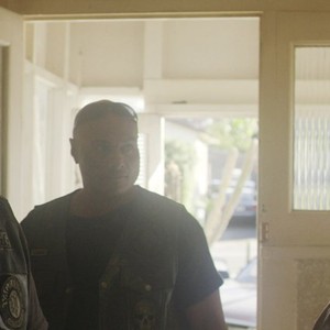 Wayne Hapi - Rotten Tomatoes