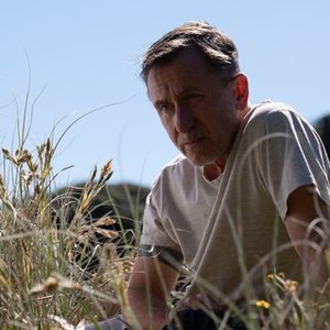 Punch - Rotten Tomatoes