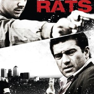 City Rats - Rotten Tomatoes