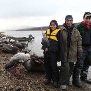 Chip Hailstone - Rotten Tomatoes