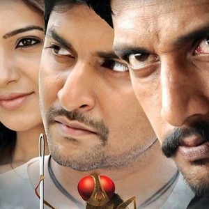 Makkhi - Rotten Tomatoes