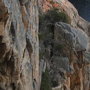 Strait Up: The Lost Art of the Approach - Rotten Tomatoes