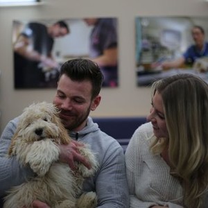 The Supervet: Noel Fitzpatrick: Season 18, Episode 1 - Rotten Tomatoes