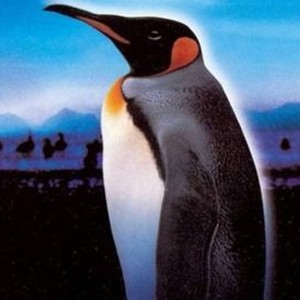 Winged Migration - Rotten Tomatoes