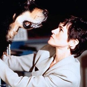 Man's Best Friend - Rotten Tomatoes