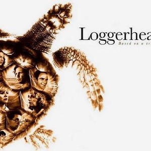 Loggerheads - Rotten Tomatoes