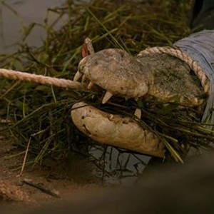 Wild Croc Territory: Season 1, Episode 2 - Rotten Tomatoes
