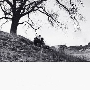 Another Country - Rotten Tomatoes