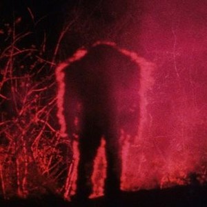 Primal Force - Rotten Tomatoes