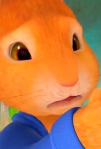 Peter Rabbit: Season 3, Episode 13 | Rotten Tomatoes