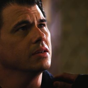 The Investigator - Rotten Tomatoes