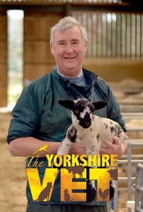 The Yorkshire Vet: Season 18 | Rotten Tomatoes