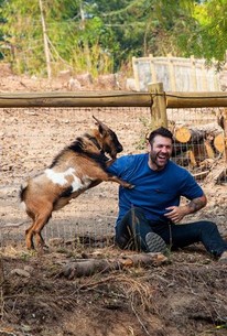 My Pack Life: Season 1, Episode 4 | Rotten Tomatoes