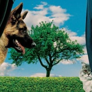 Under the Tree - Rotten Tomatoes