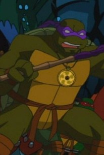 Teenage Mutant Ninja Turtles: Ninja Tribunal, Episode 6 | Rotten Tomatoes