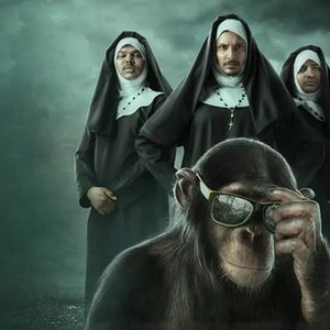 Gorilla - Rotten Tomatoes