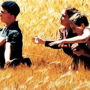 Strayed - Rotten Tomatoes