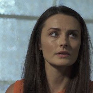 Alpha Wolf - Rotten Tomatoes