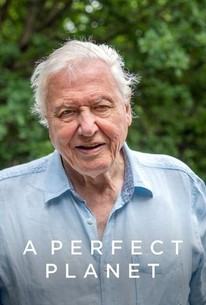 A Perfect Planet: Season 1 | Rotten Tomatoes