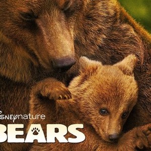 Bears - Rotten Tomatoes