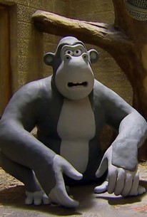 Creature Comforts: Season 1, Episode 5 | Rotten Tomatoes