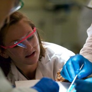 The First Patient - Rotten Tomatoes